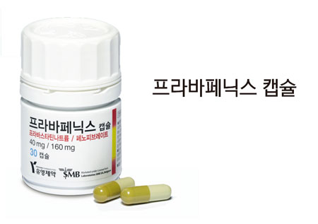 Fenofibrate/Pravastatin 병용요법 고찰