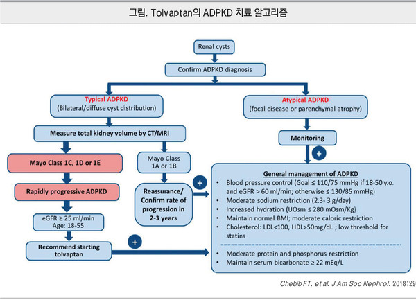 상염색체우성 다낭신장병(ADPKD) 환자의 치료 현황 및 미래 전망
