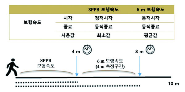 AMC6156 임상시험을 위한 근감소증 진단 및 최신 치료 동향